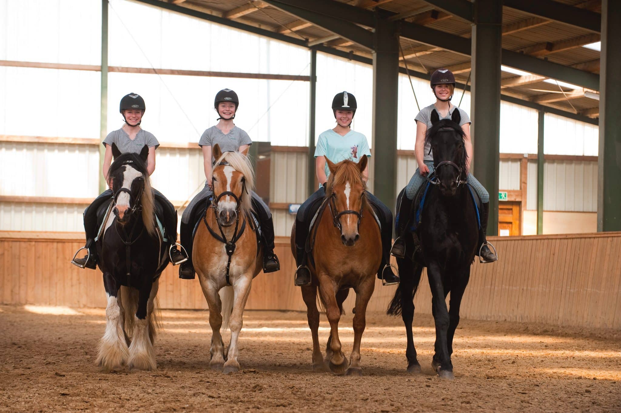 Reiten für Anfänger & Profis | Familotel Gut Landegge