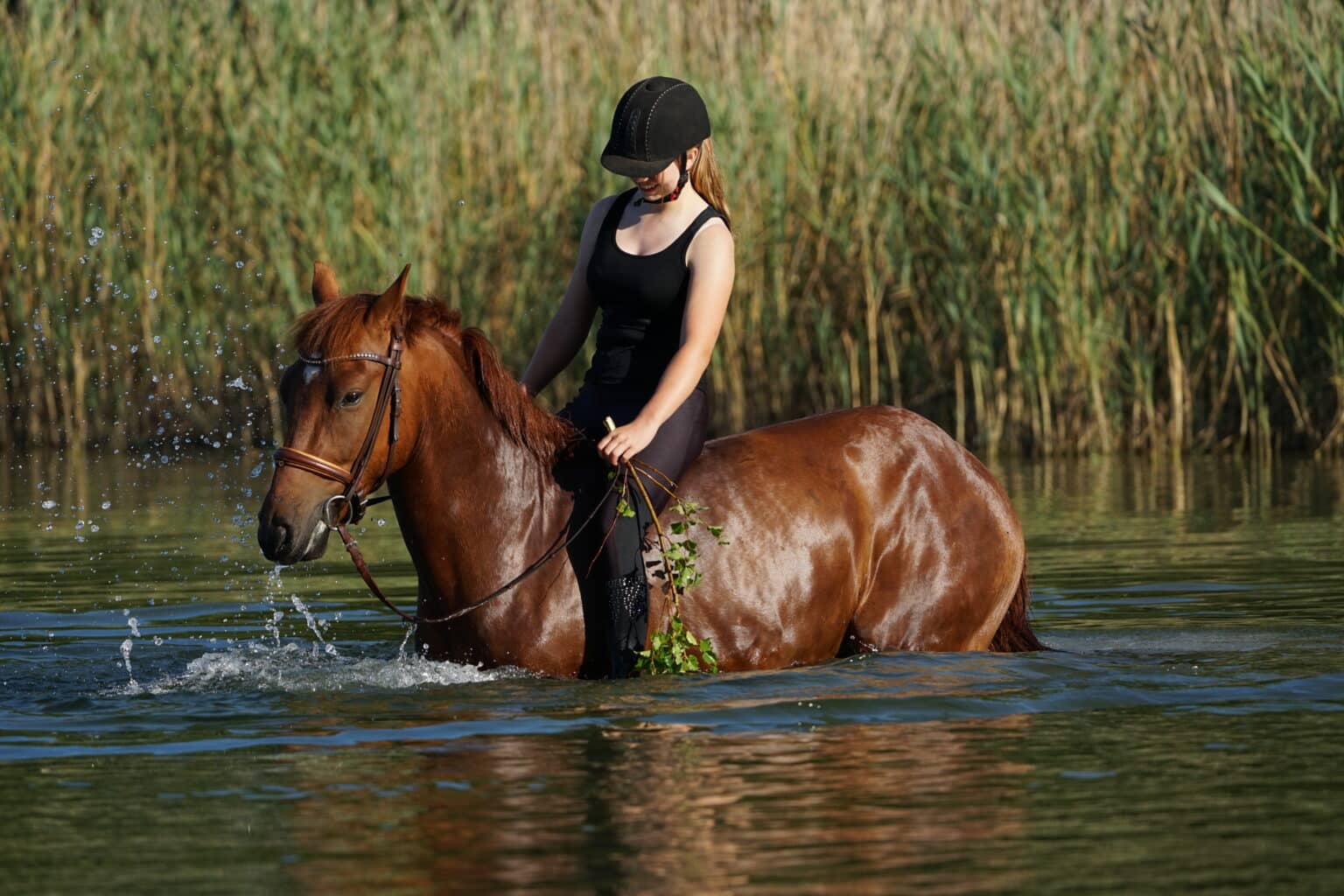 Reiten in der Natur des Emslands | Familotel Gut Landegge